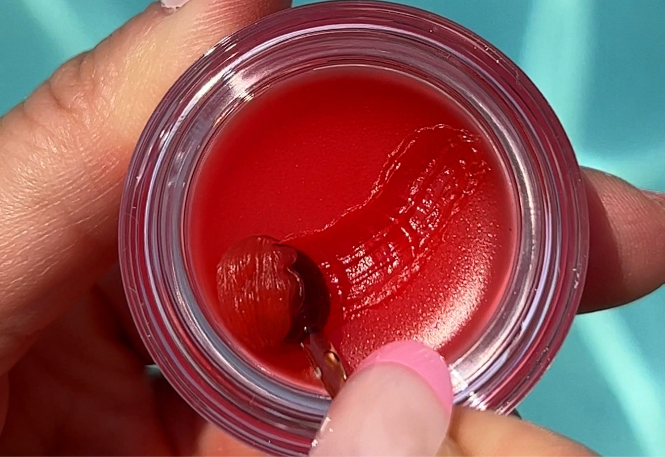 Watermelon Bee Balm – My Bee Balm